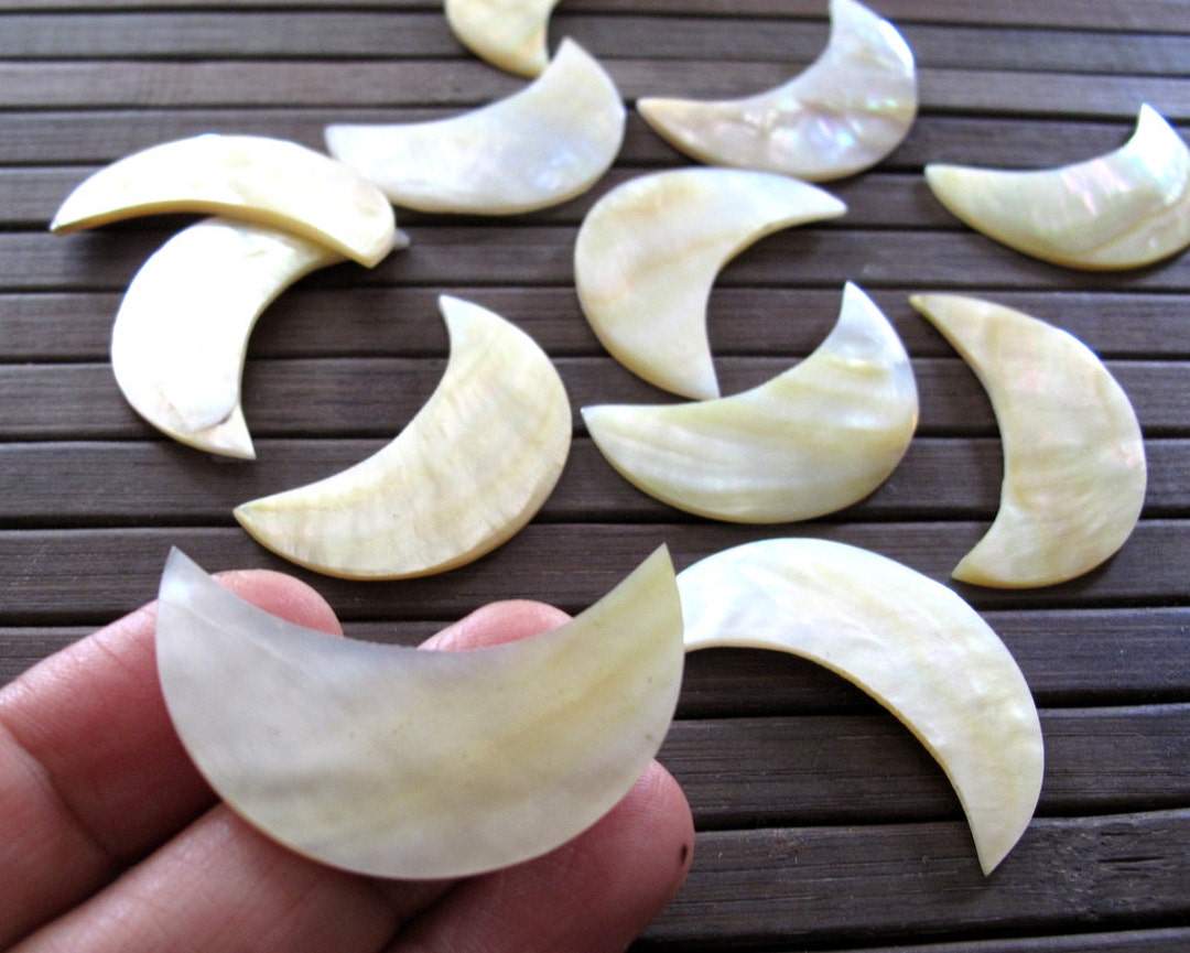 2 Pieces Beautiful Golden Lip Shell Crescent Shape ,carved Mother of ...