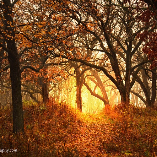 Cut Paper Map of YOUR Neighborhood 5x7 | Etsy