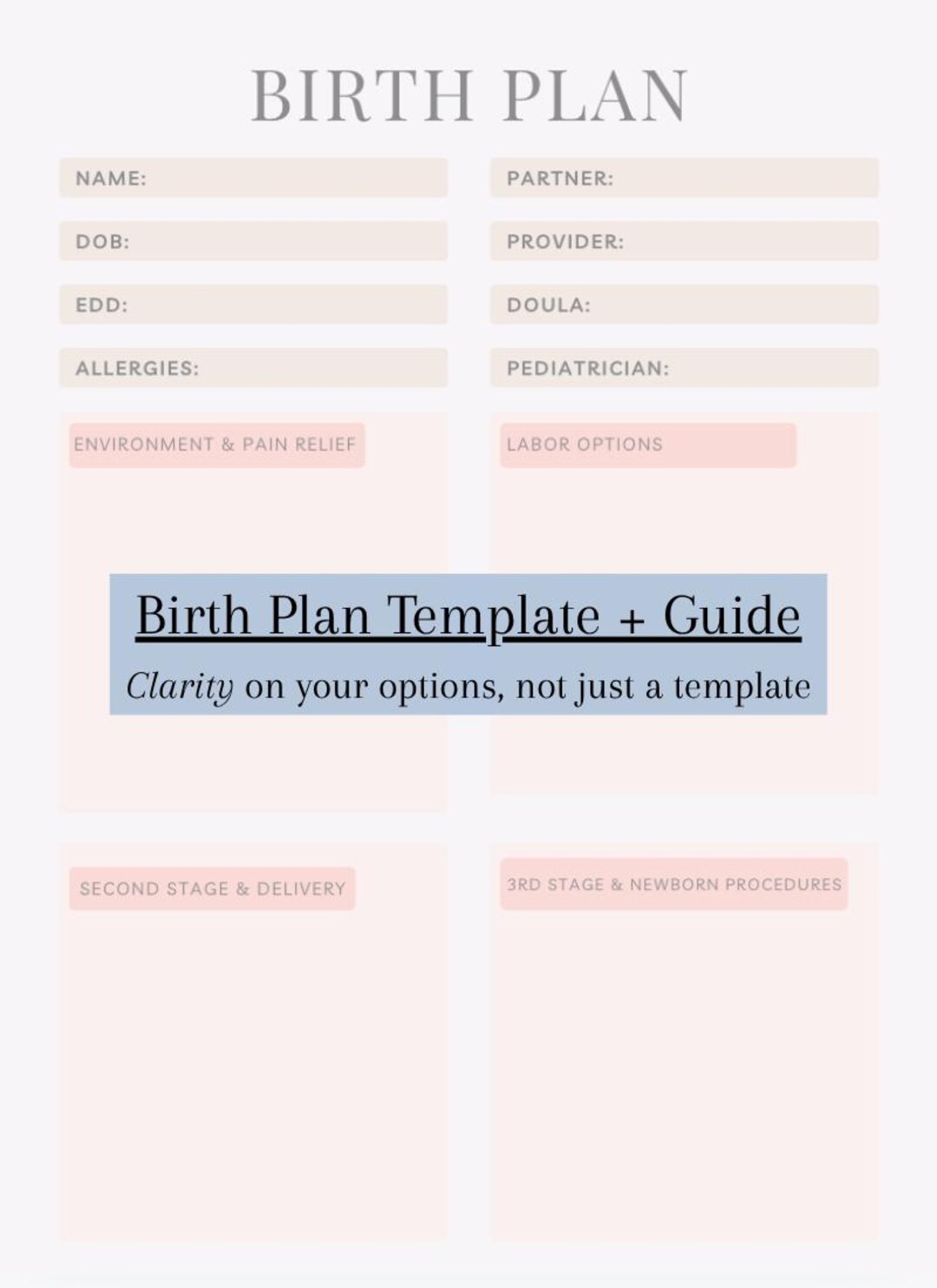 Birth Plan Template Guide | Informed Birth Choices (printable) - Etsy