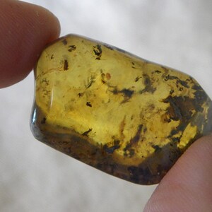 Blue Amber Natural Dominican Amber 34x21x15mm Rare Blue Amber Cabochon ...