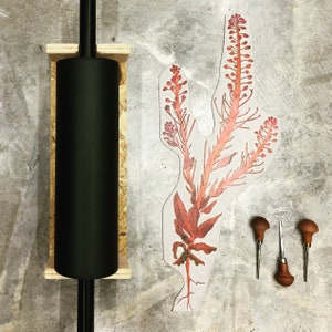 Caulanthus Inflatus, Herbarium Series, Original Art, Linocut Relief ...