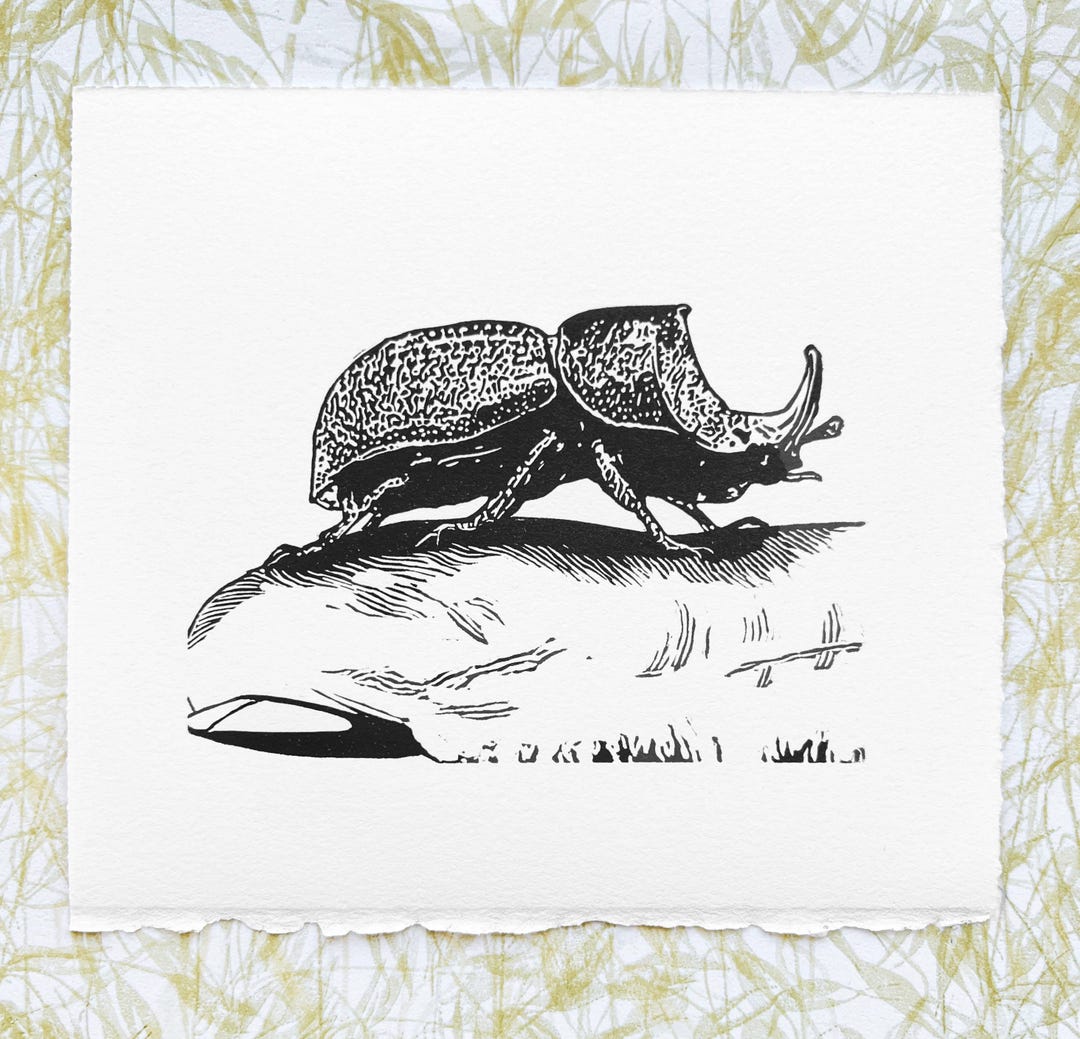 Rhinoceros Beetle, Linocut Relief Print, Inktober 2024, Native Bugs of ...