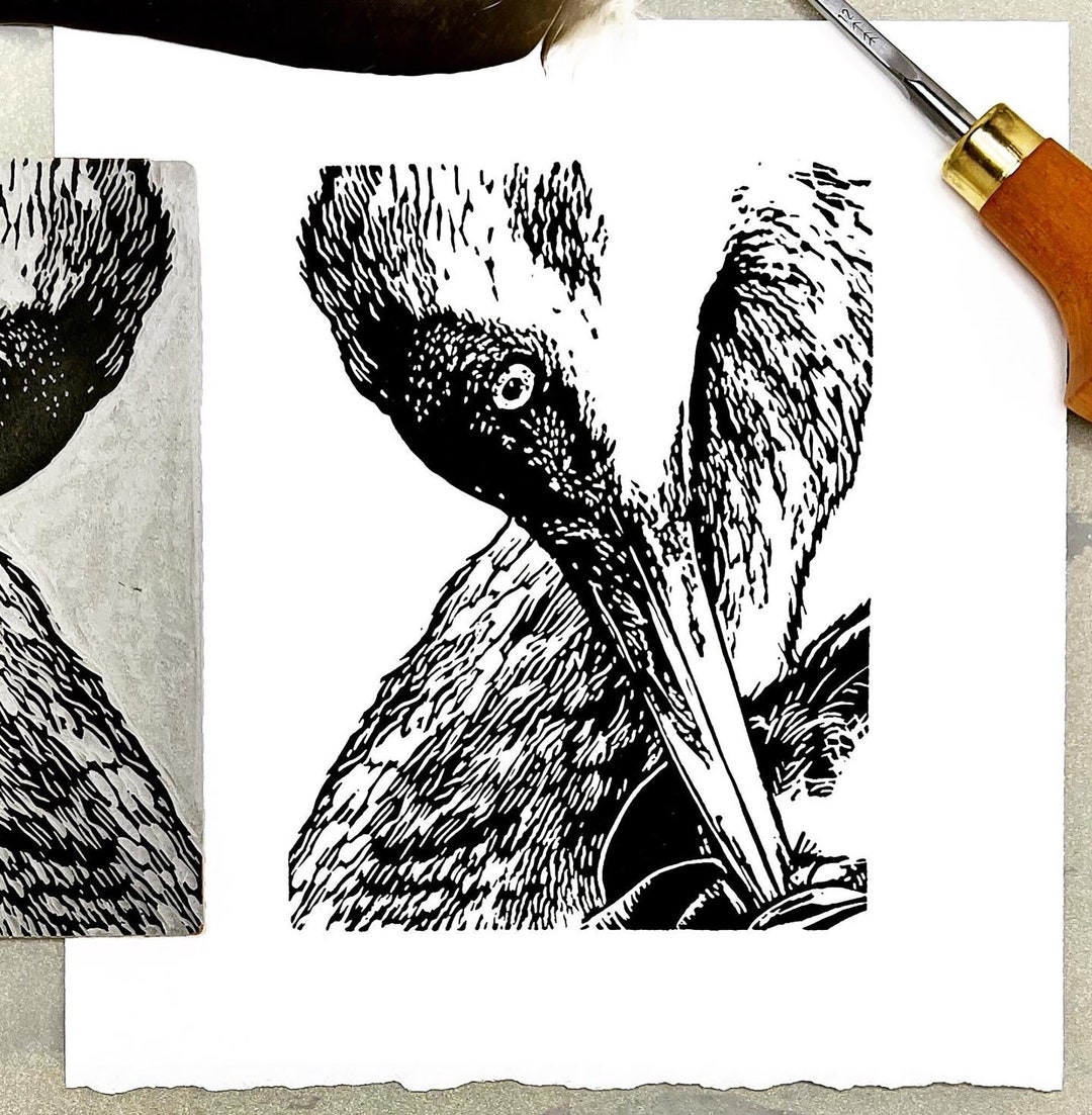 SANDHILL LOOP, Linocut Relief Print, Inktober 2021, Native Flora of ...