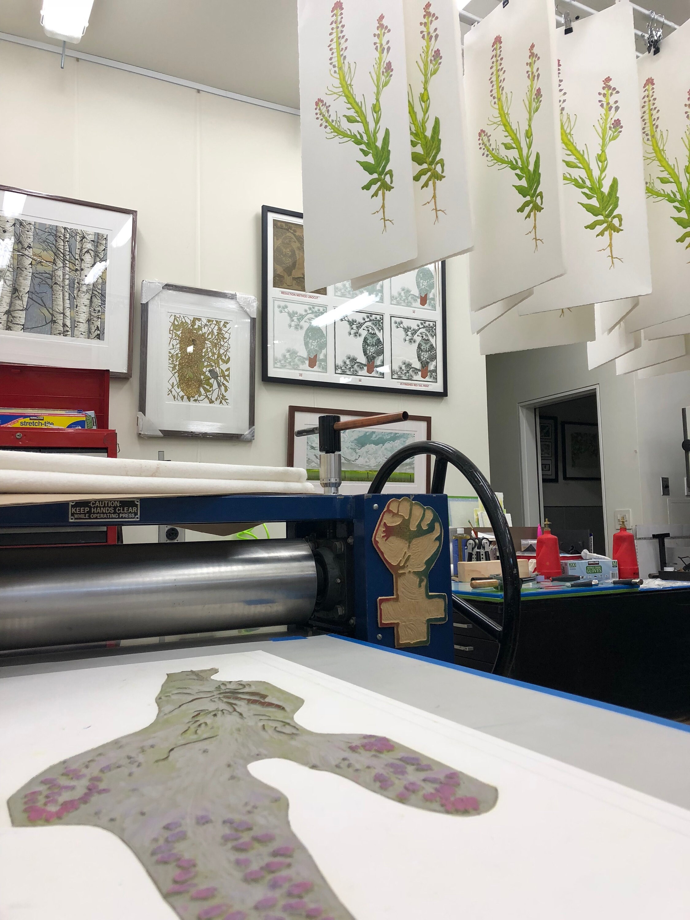 Caulanthus Inflatus, Herbarium Series, Original Art, Linocut Relief ...