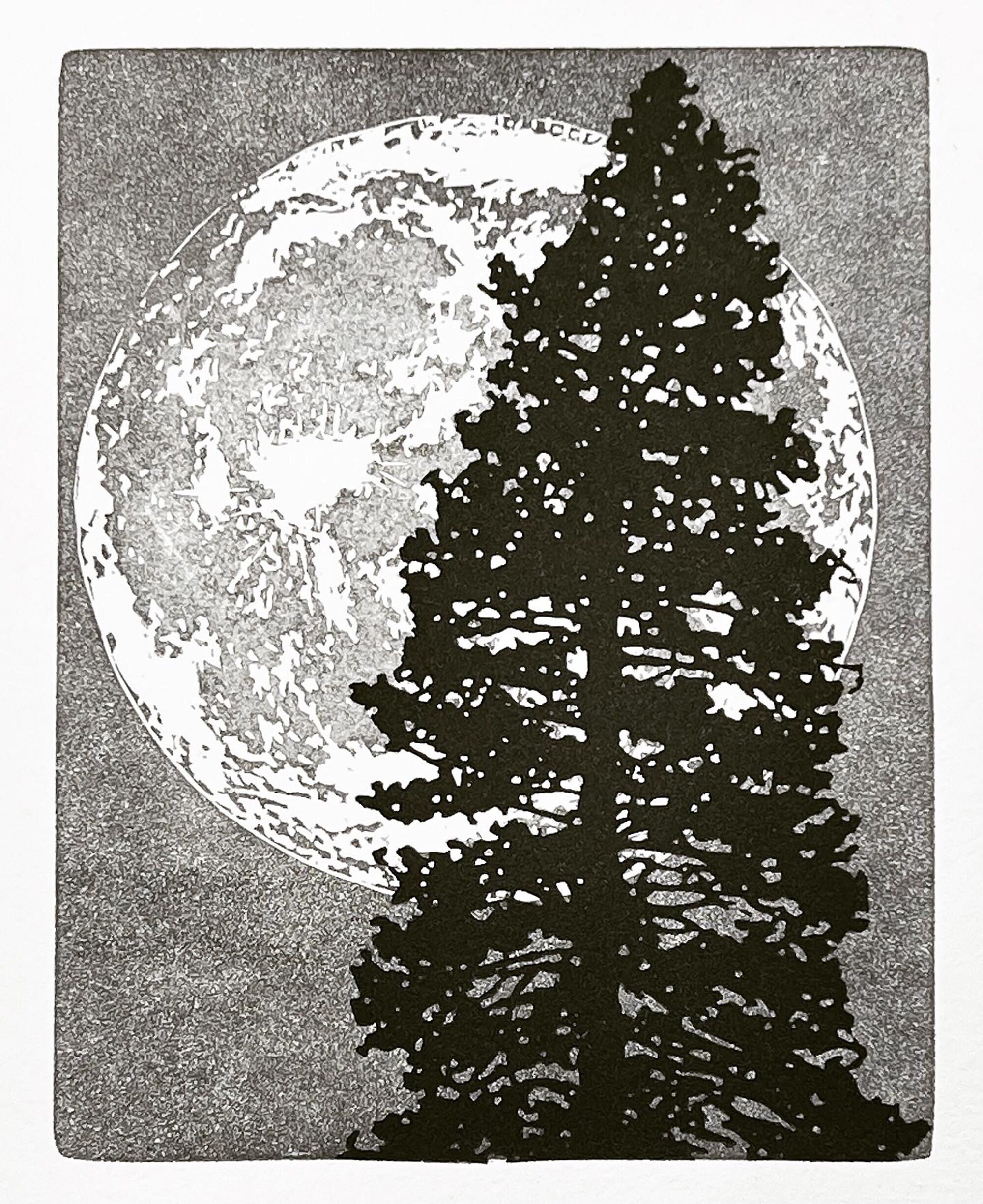PONDEROSA MOON, Linocut Relief Print, Inktober 2021, Native Flora of ...