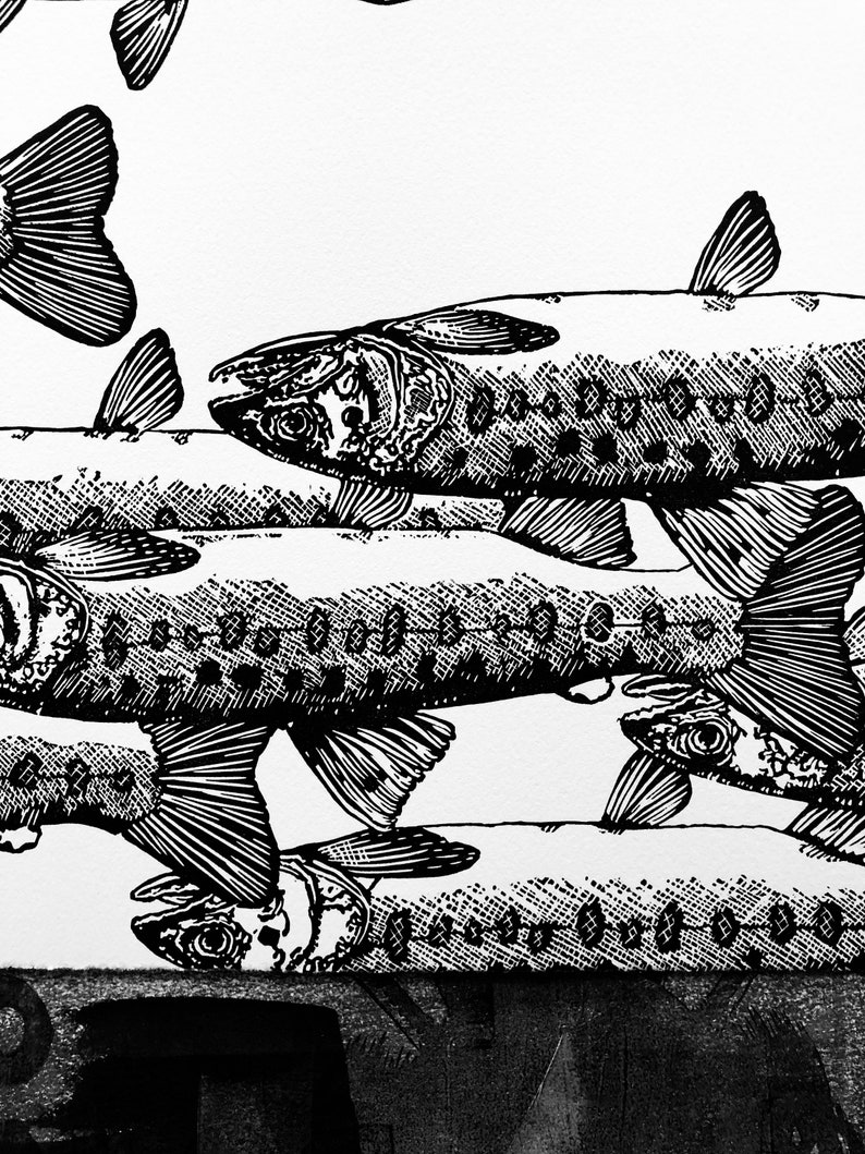 Paiute Cutthroat Trout - Sierra Nevada, 15 X 22, Black & White Linocut ...