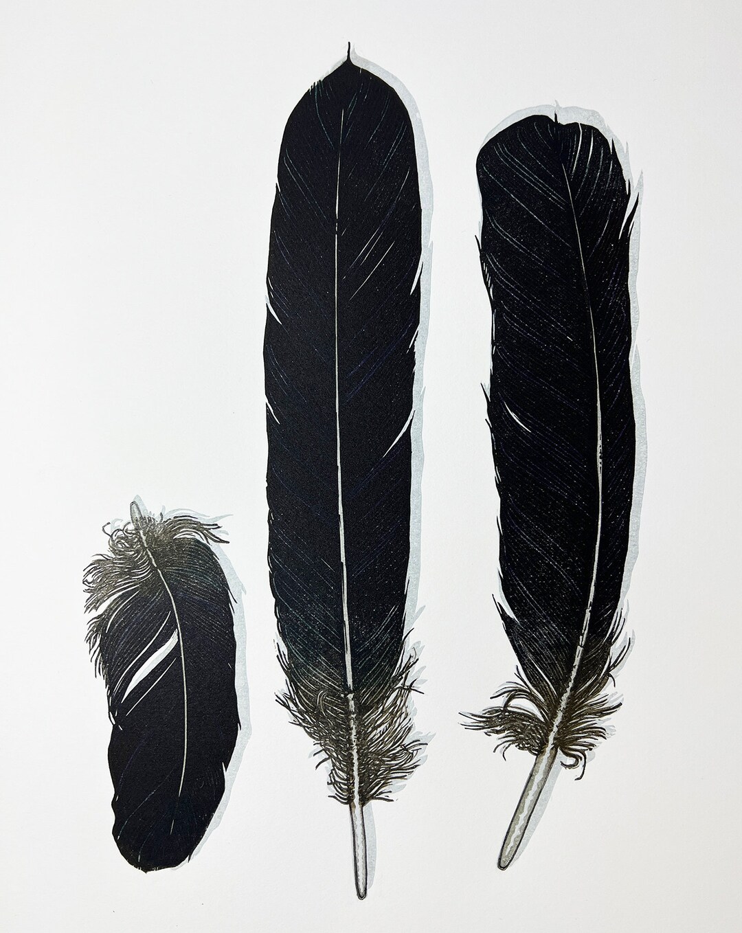 RAVEN FEATHERS, a Multi-block Linocut Relief Print, 2022, Found Bird ...