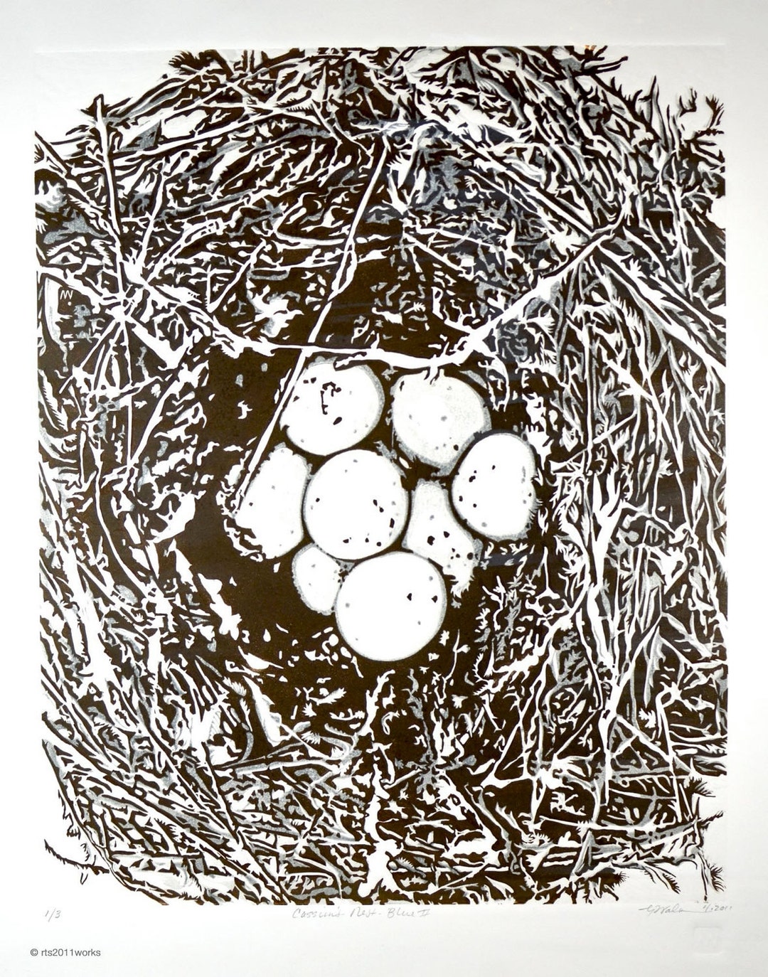 LAST ONE - Linocut Relief Print, Original Art, Color 16x20, Cassin's ...