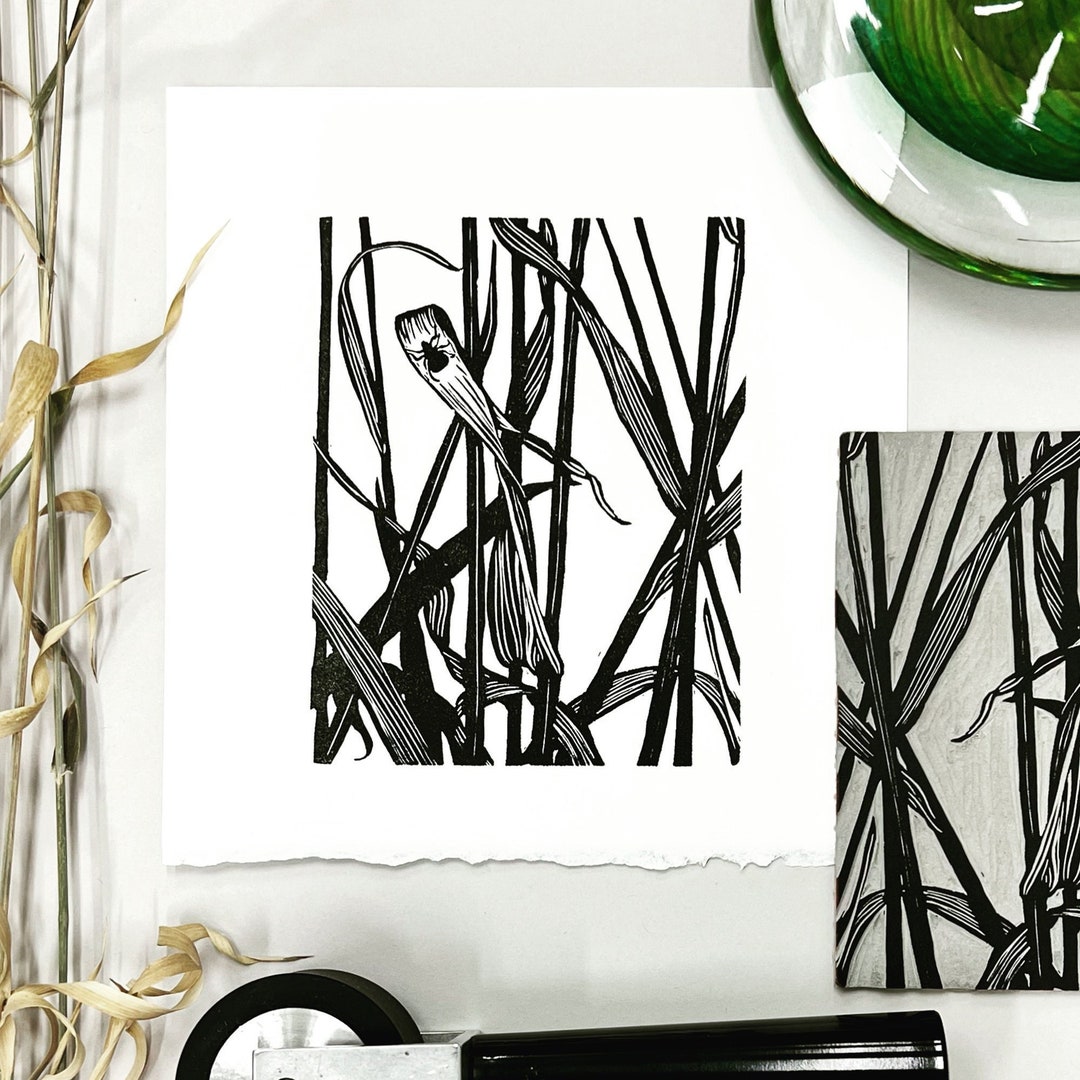 MELICA Native Grass, Linocut Relief Print, Inktober 2021, Native Flora ...