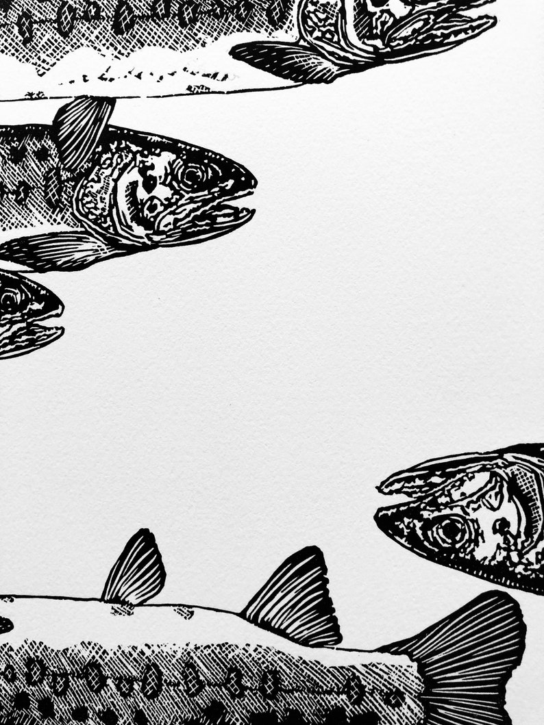 Paiute Cutthroat Trout - Sierra Nevada, 15 X 22, Black & White Linocut ...