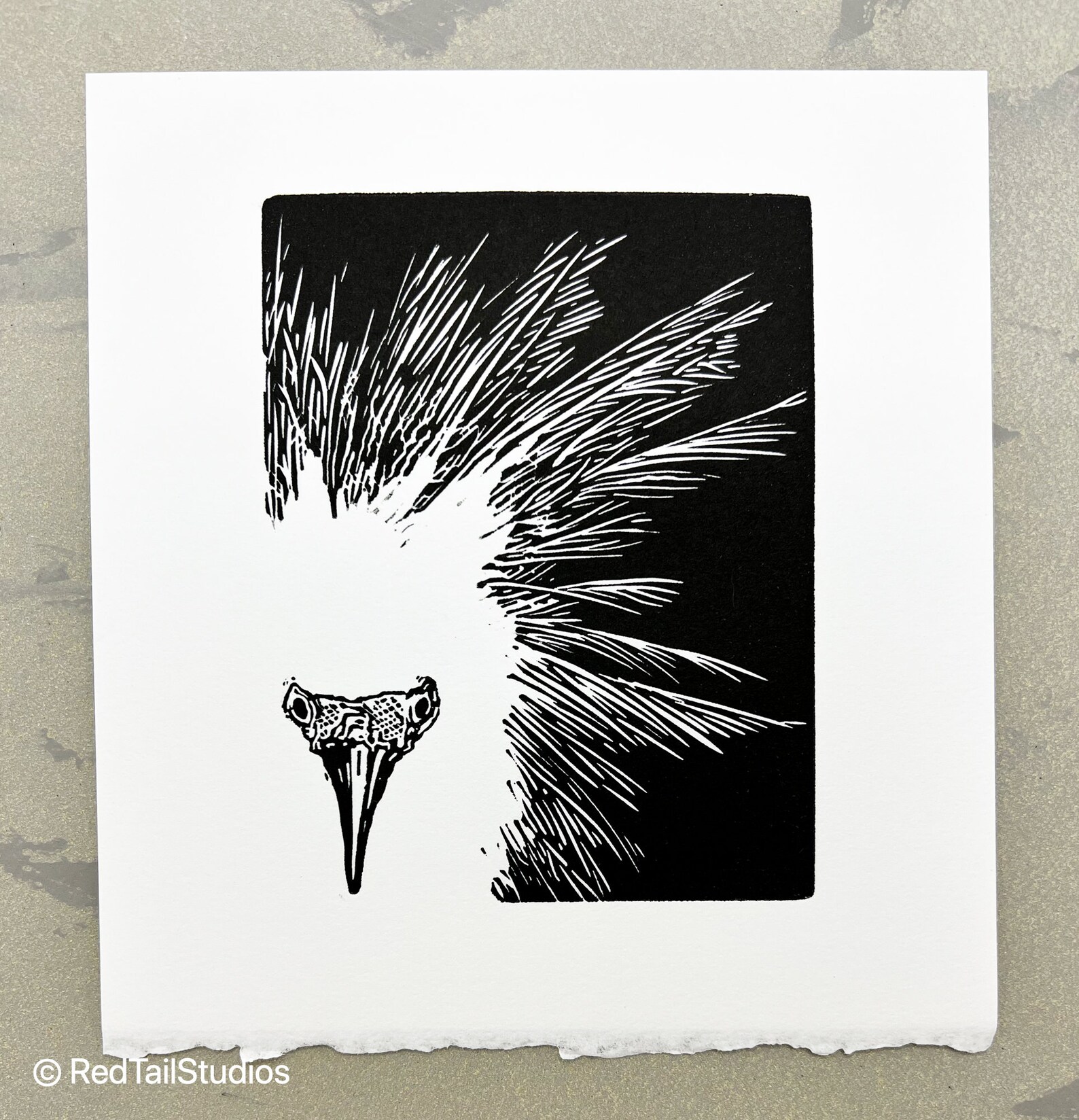 SNOWY EGRET With Breeding Plummage Linocut Relief Print, Inktober 2021 ...