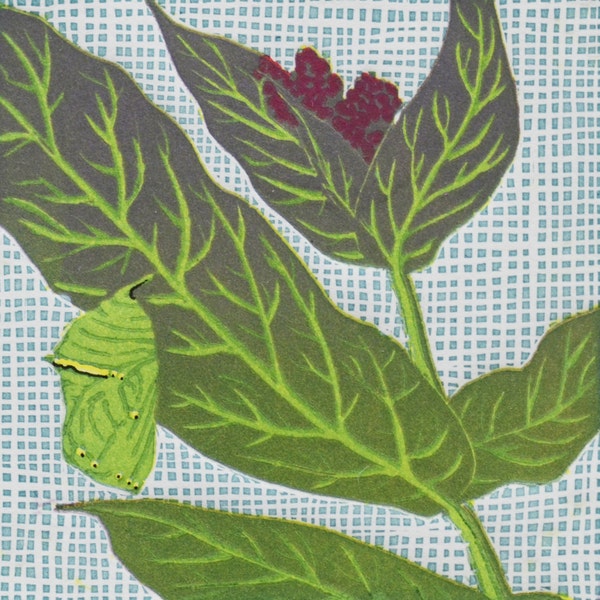Milkweed Etsy