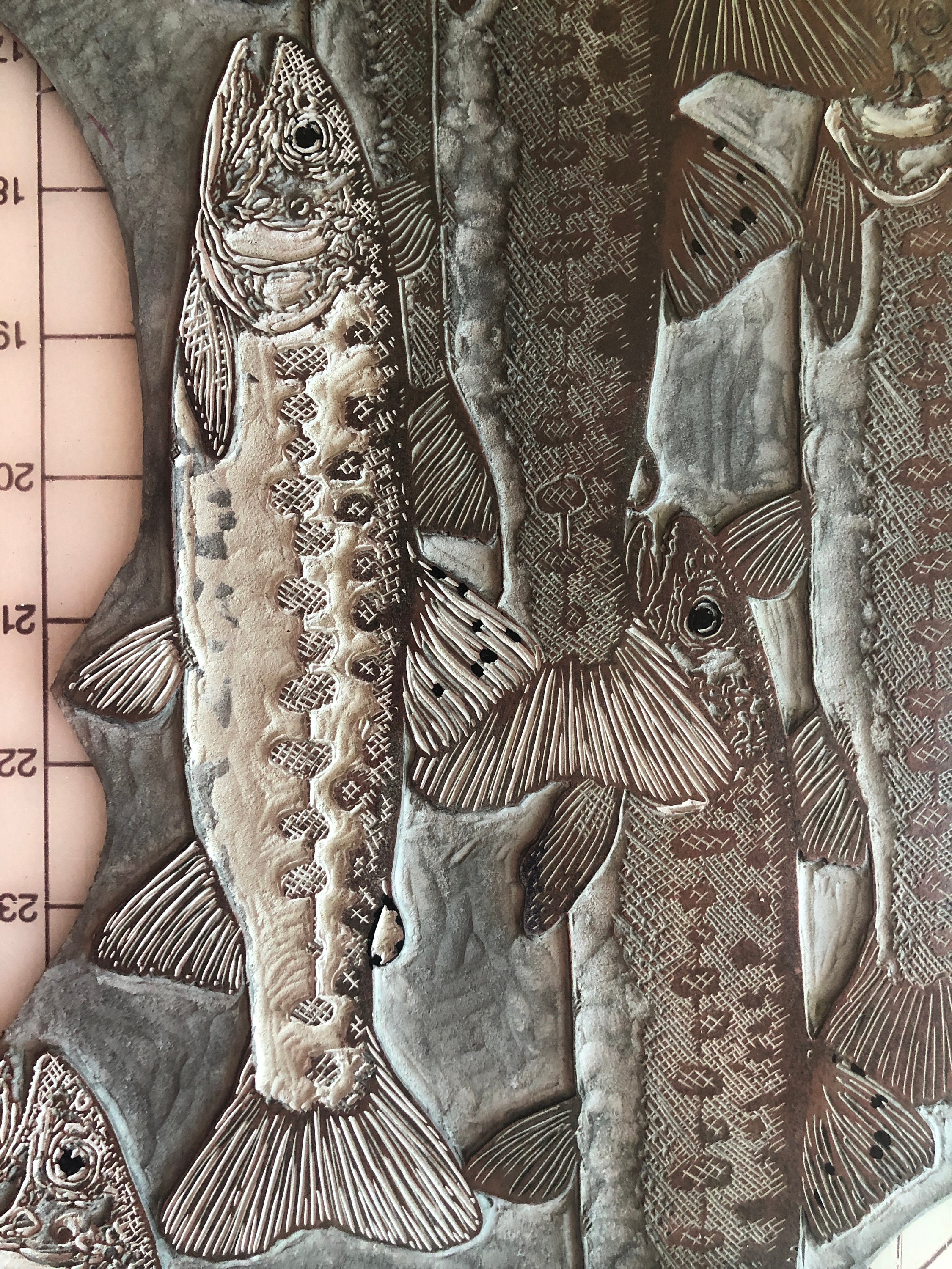 Paiute Cutthroat Trout - Sierra Nevada, 15 X 22, Black & White Linocut ...