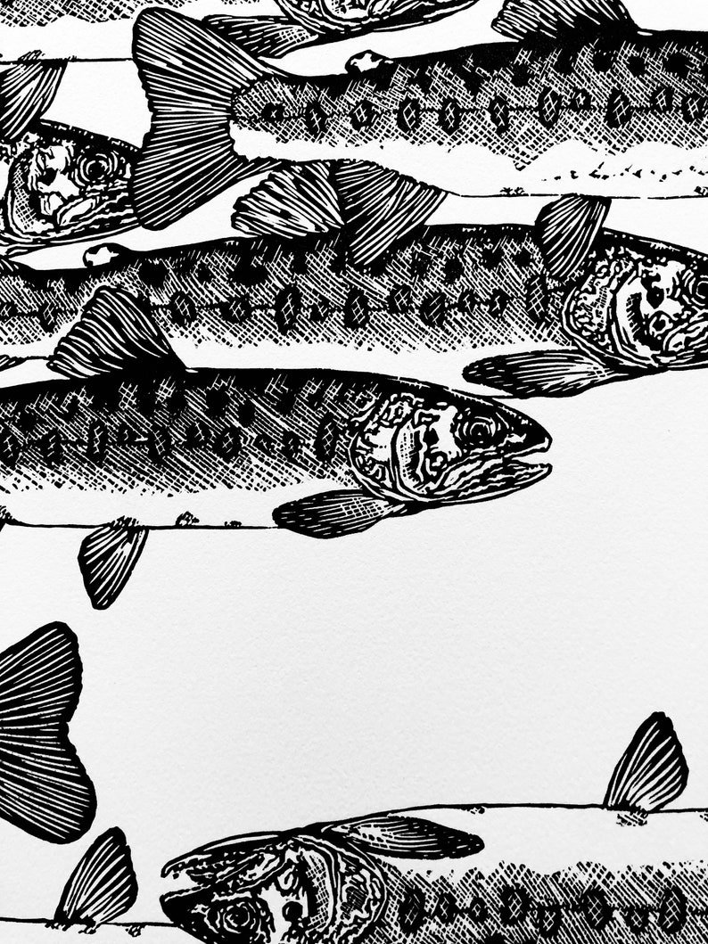 Paiute Cutthroat Trout - Sierra Nevada, 15 X 22, Black & White Linocut ...