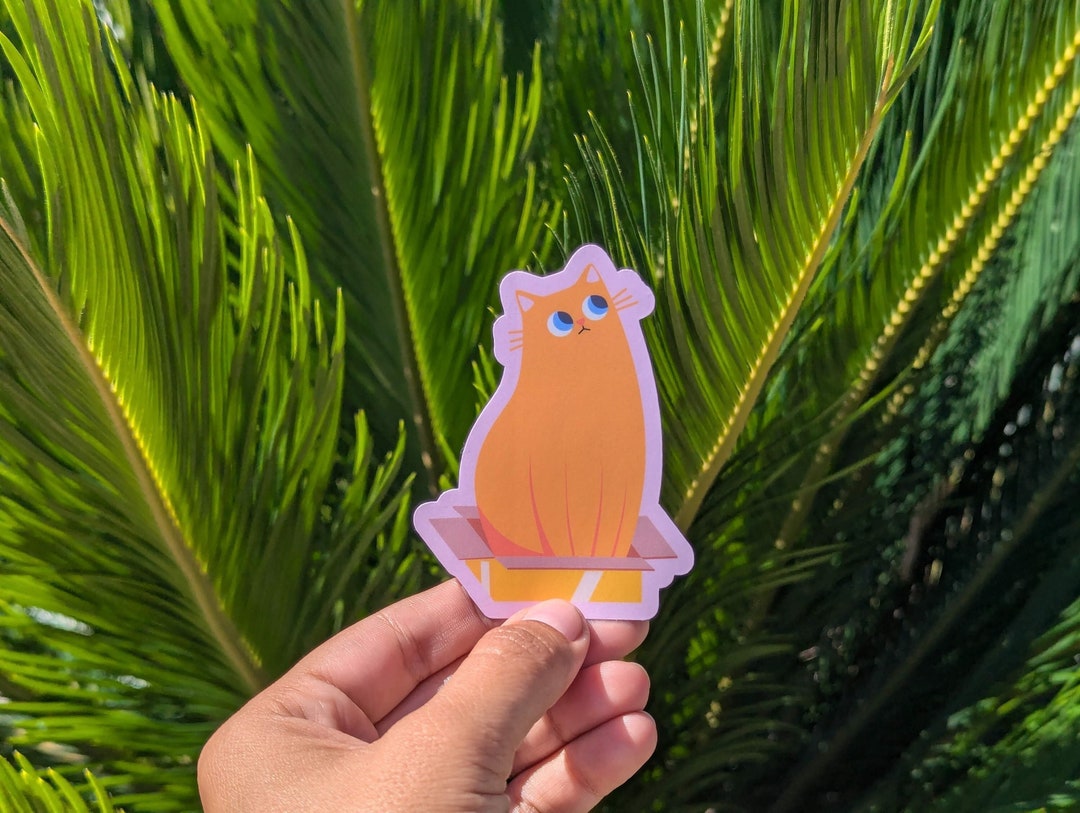 Cat in Box Vinyl Sticker | Cute Cat Design | Perfect for Water Bottles ...
