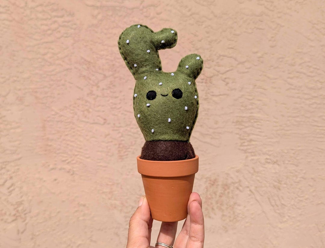 Cheerful Felt Cactus Buddy | Handmade Succulent Decor | Cute and Quirky ...