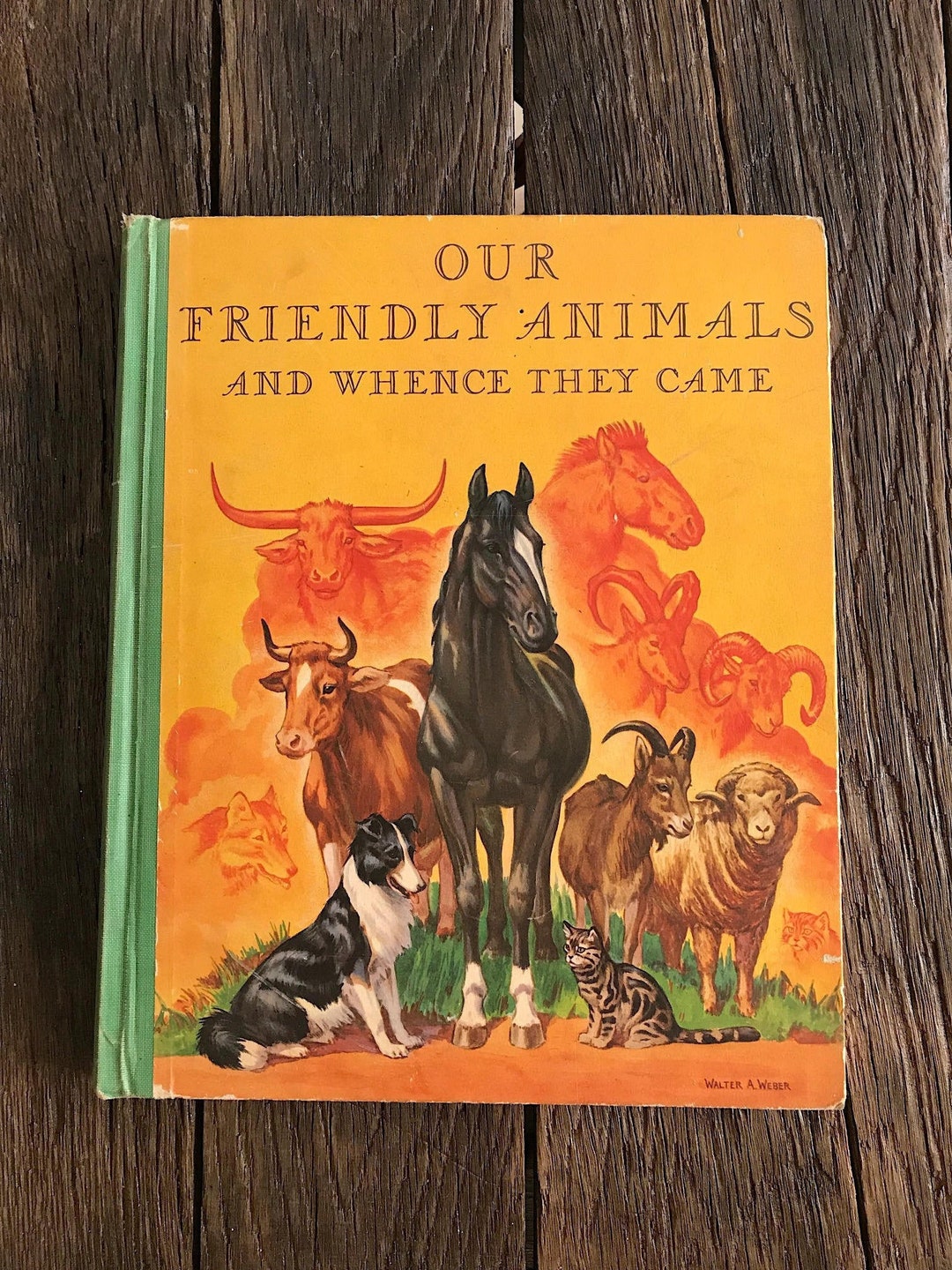 1938 Our Friendly Animals and Whence They Came Book - Illustrated Book ...