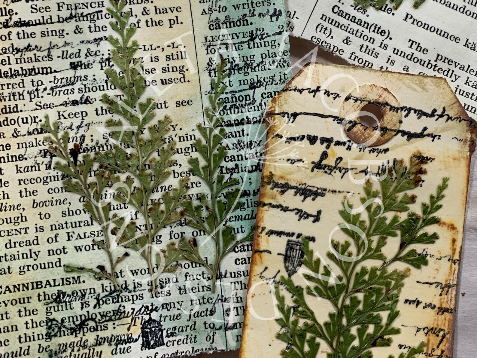 Botanical Collage Gift Tags and Book Pages | Rustic, Nature-inspired ...