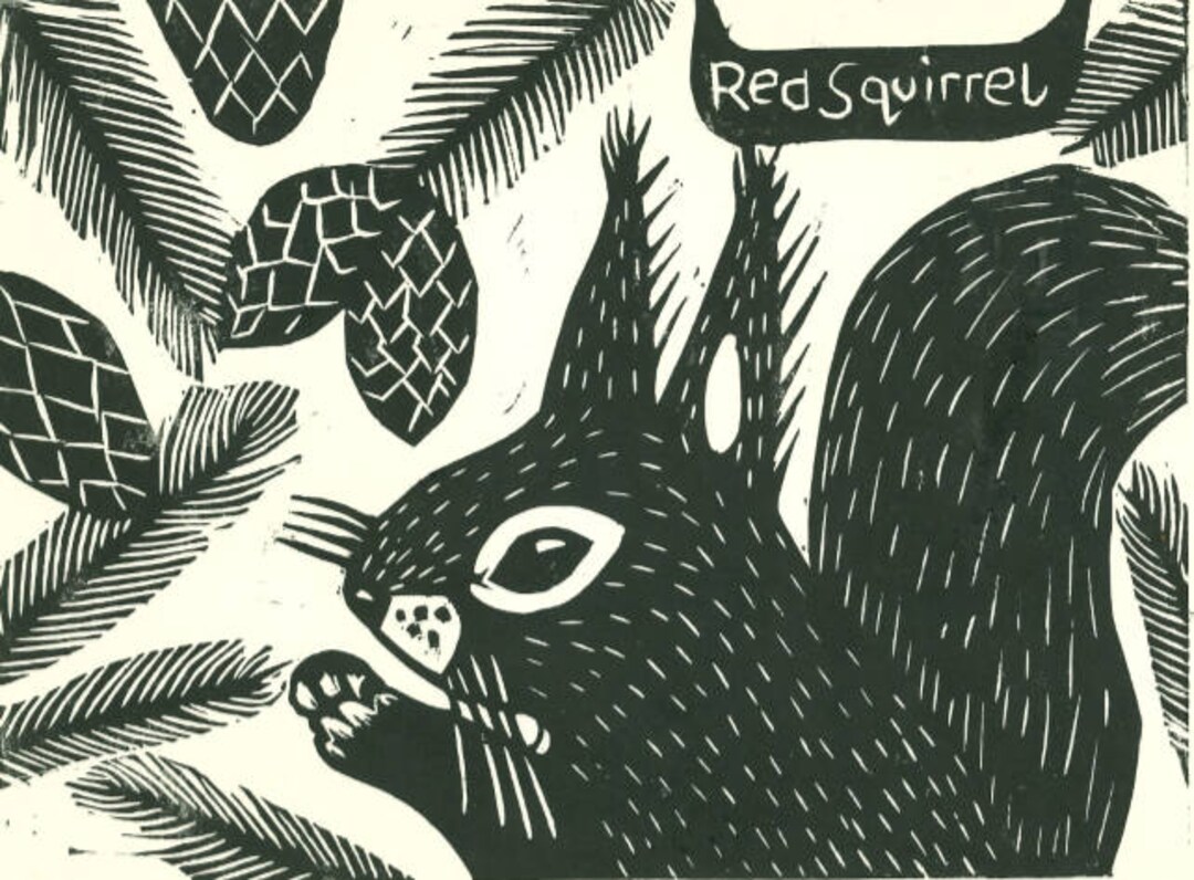 November Red Squirrel Original Hand Pulled Linocut Limited - Etsy