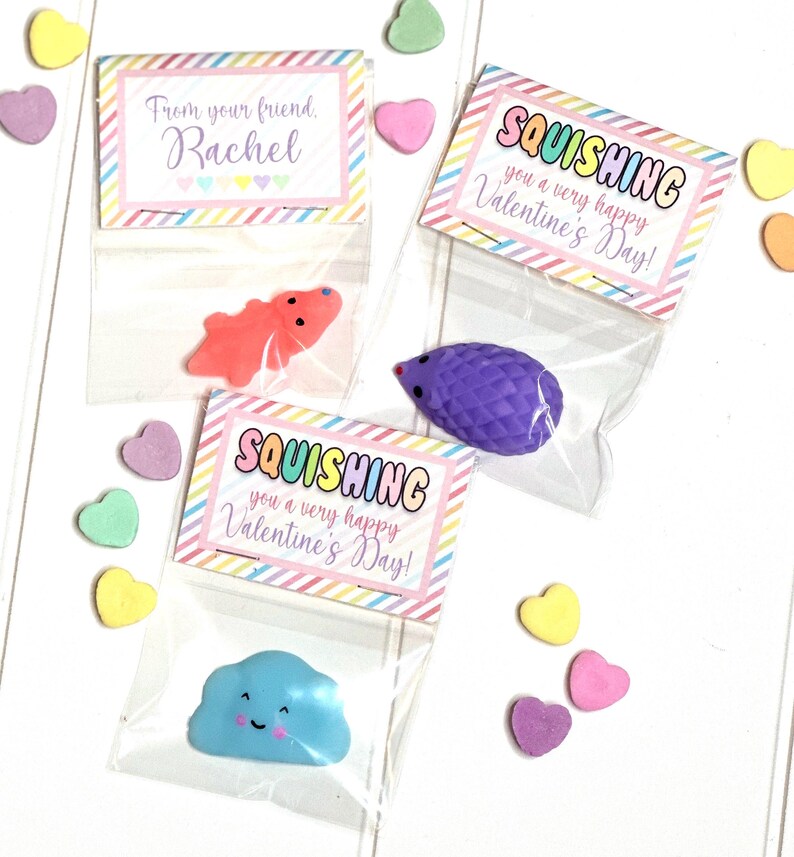 SQUISHY Squish Toy Personalized Class Valentines Day PRINTED Tags for ...