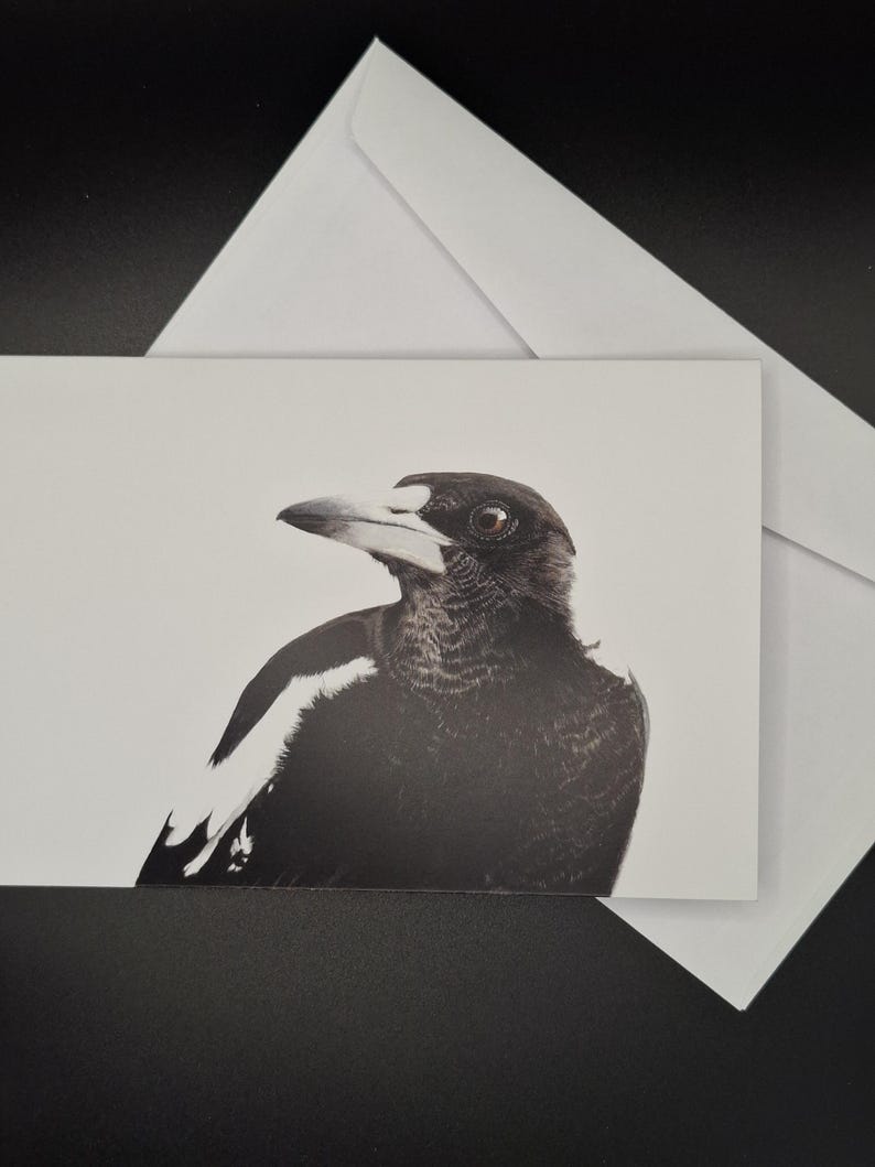 Australian Magpie Card, Australian Bird Art, All Occasion, Blank Inside ...