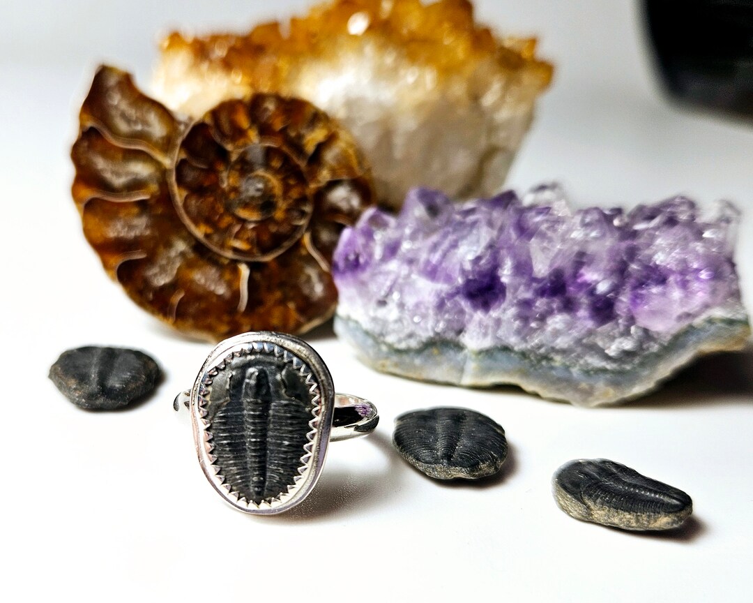 Little Trilobite Ring! Fossils, Custom Sized for You, Fossil Ring ...