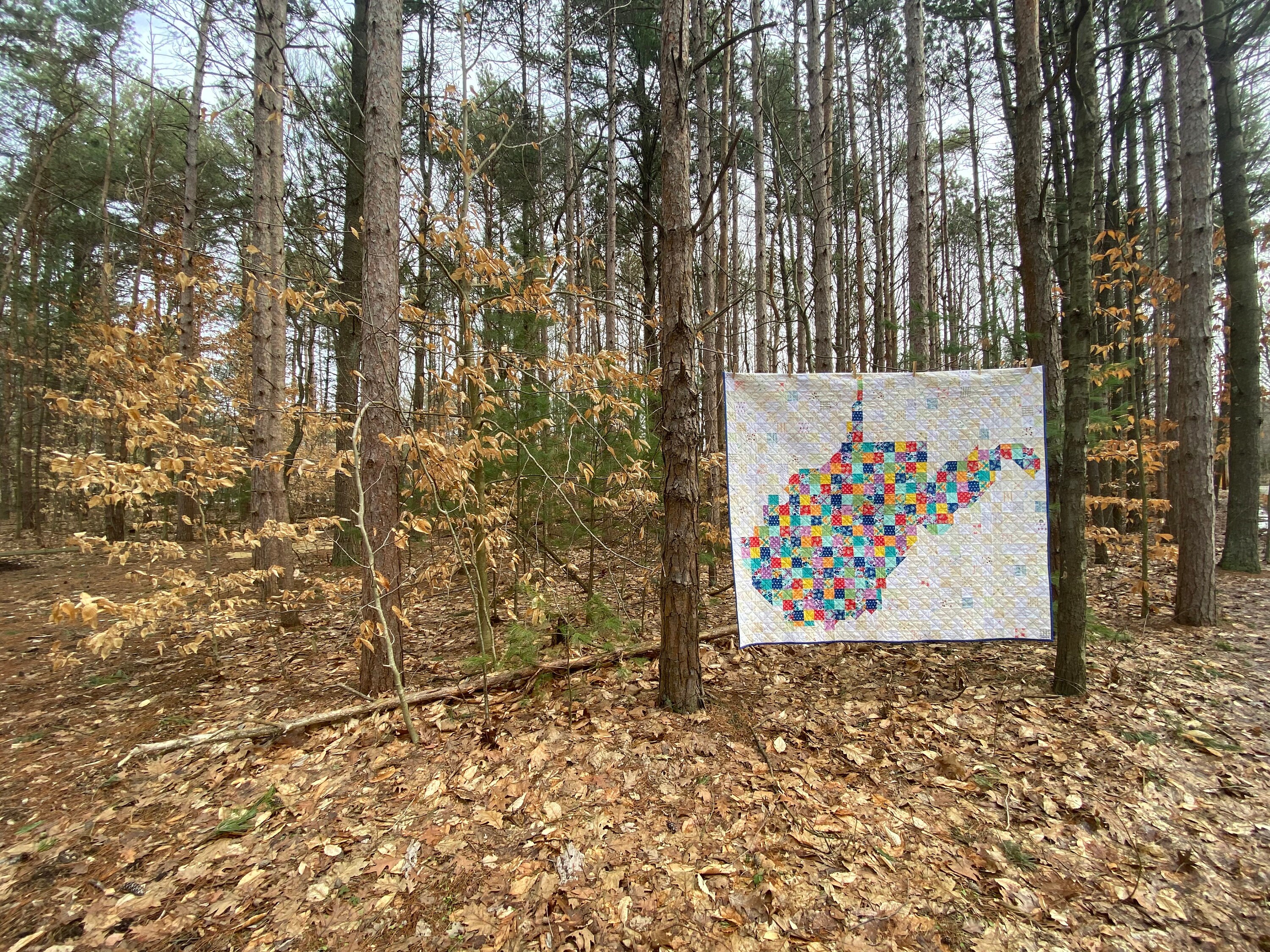 West Virginia - PDF PATTERN - A Pixelated Quilt - West Virginia State ...