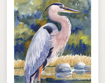 Great Blue Heron Watercolor Print Bird Wall Art Decor by Janet Zeh - Etsy