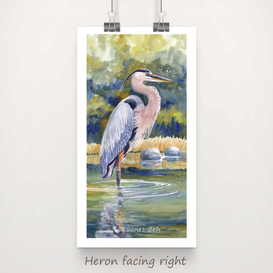 Great Blue Heron Large Print on Watercolor Paper Vertical - Etsy