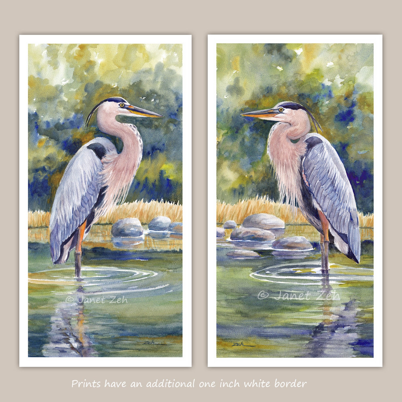 Great Blue Heron Set of Two Prints on Watercolor Paper Green | Etsy