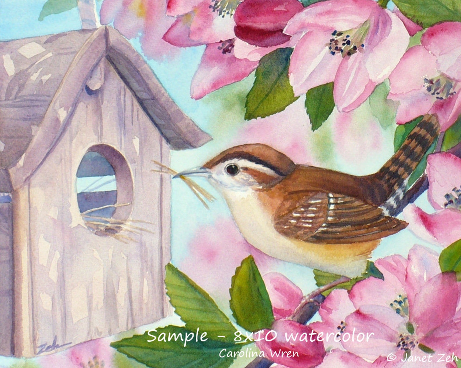 Custom Bird Watercolor Painting Unique Commissioned Wall Art - Etsy