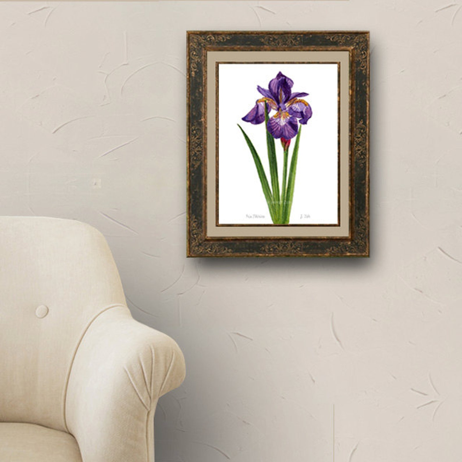 Siberian Iris Print Botanical Illustration Flower Wall Art by - Etsy