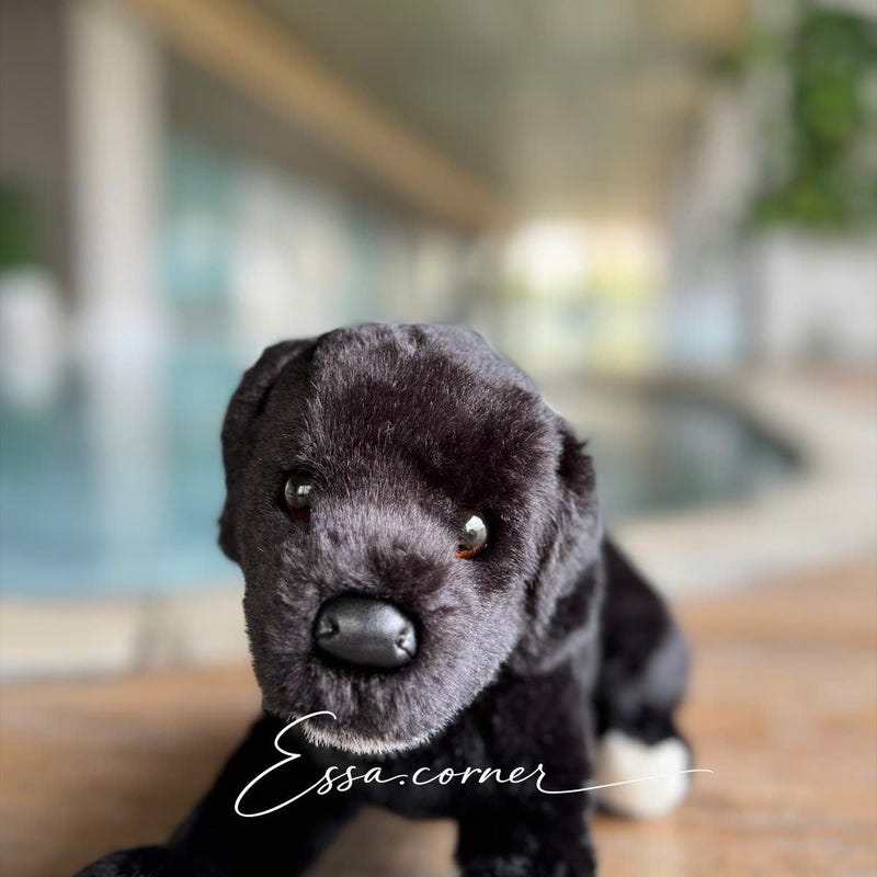 Retired Douglas Dogs - Etsy