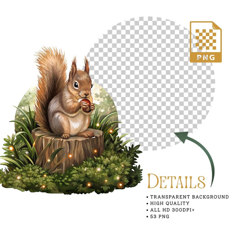 Autumn Squirrel Clipart Bundle: Acorn, Oak Leaves, Woodland Animals ...