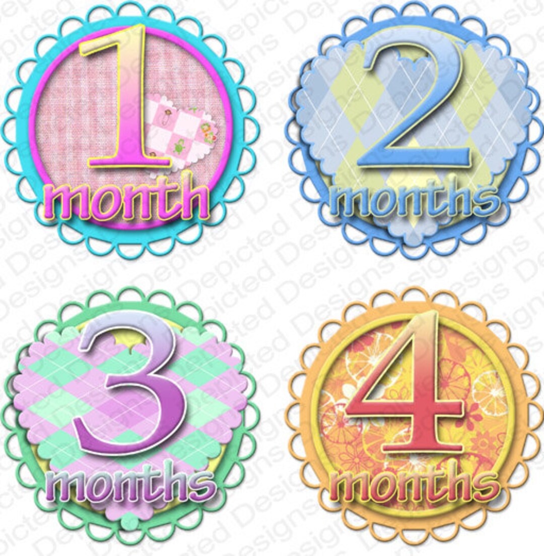 Month to Month Baby Stickers Baby Monthly Stickers 1 to 12 Months ...