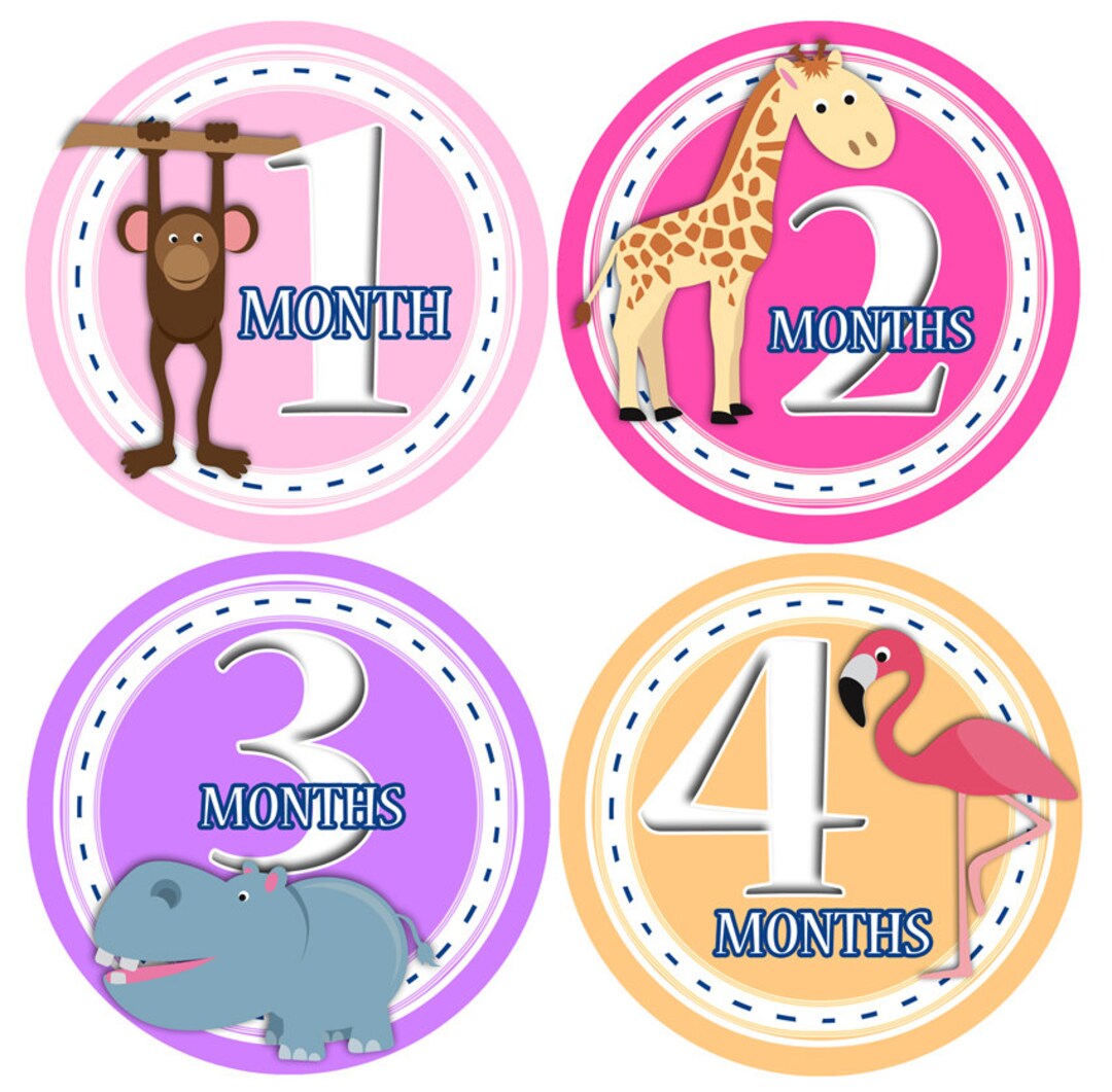 Baby Monthly Stickers 1 to 12 Months Bodysuit Romper Stickers - Month ...