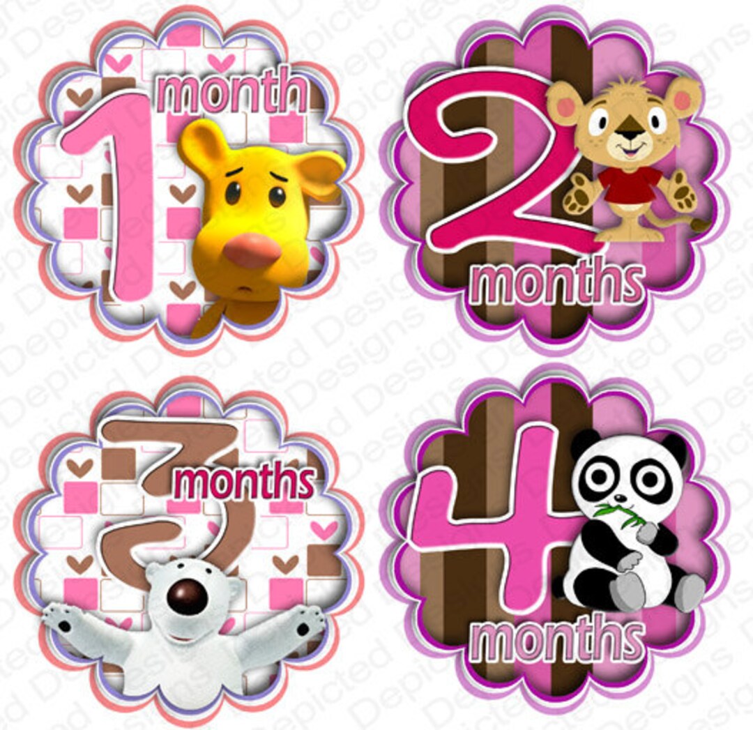 Month to Month Baby Stickers Baby Monthly Stickers 1 to 12 Months ...