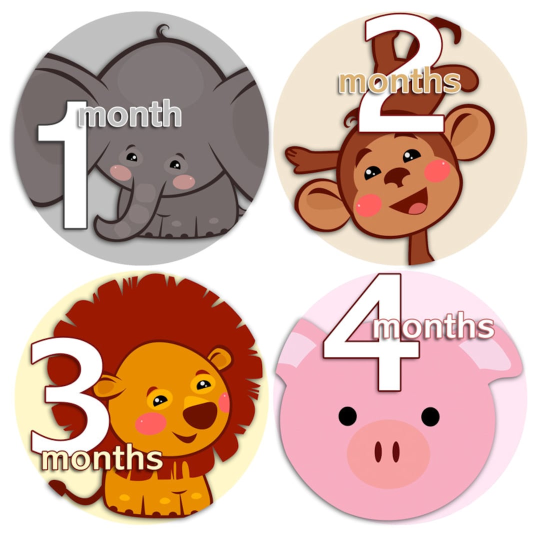 Month to Month Baby Stickers - Baby Monthly Stickers 1 to 12 Months ...