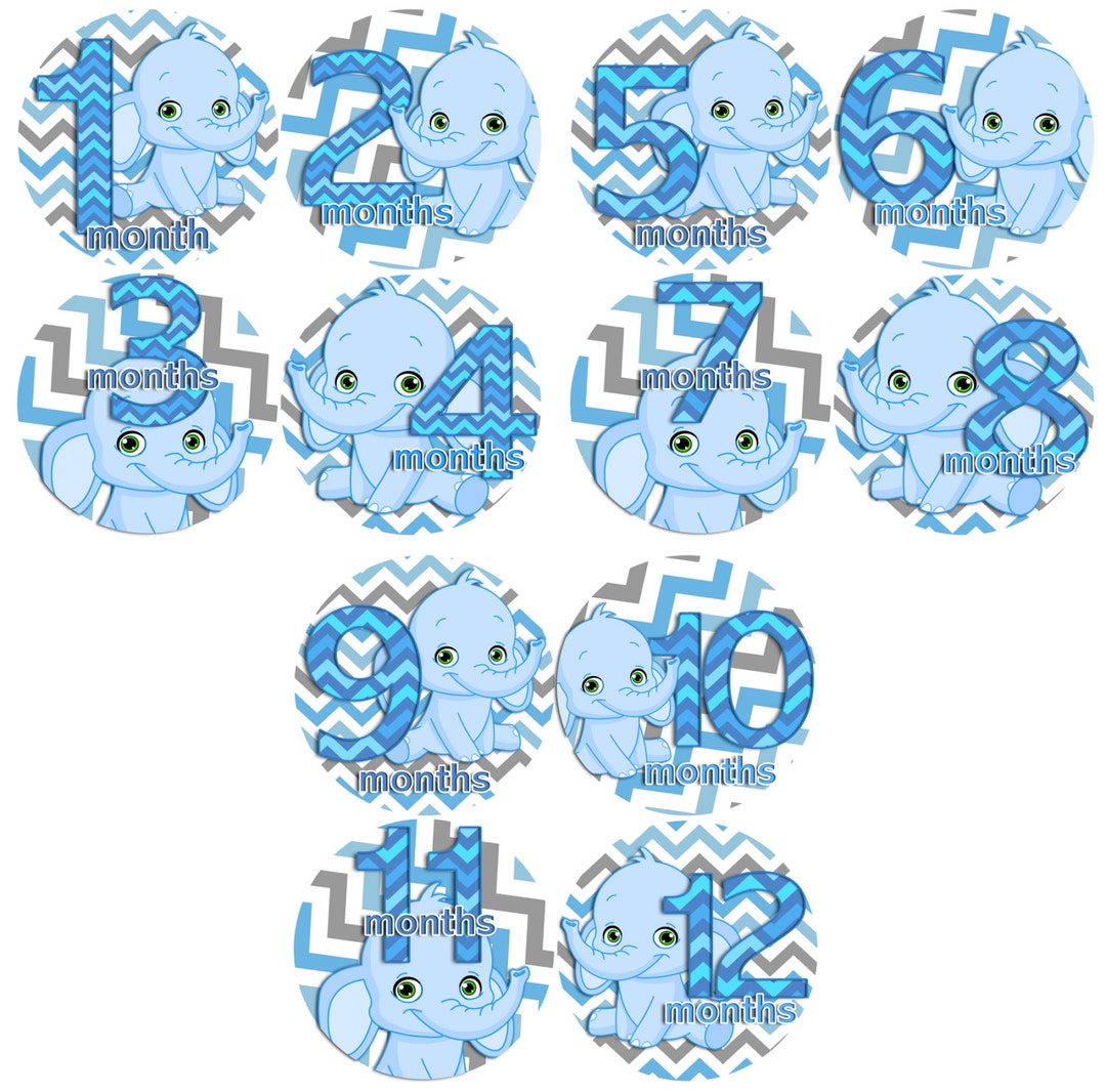 Baby Monthly Stickers: Blue Chevron Elephant, 1-12 Months - Etsy