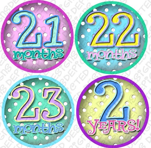 13 to 24 month baby photo stickers monthly baby stickers 4 | Etsy