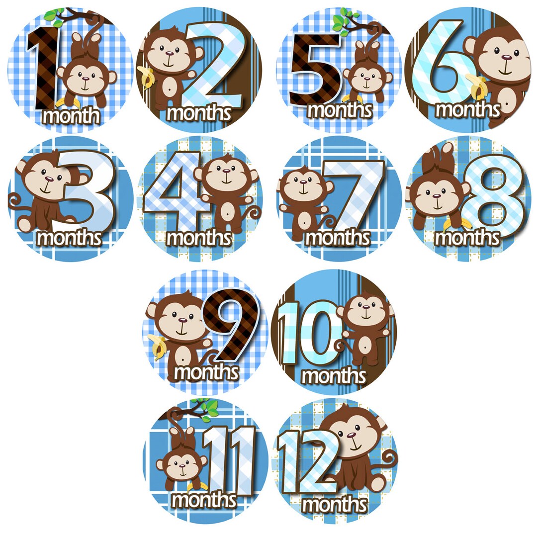 Monthly Baby Stickers - Baby Monthly Stickers 1 to 12 Months - Month to ...