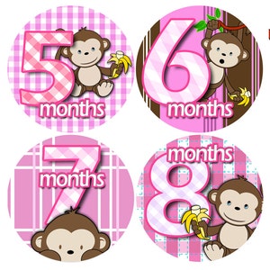 Monthly Baby Stickers - Month to Month Baby Stickers - Baby Monthly ...