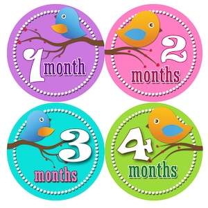 Baby Month Stickers - First Year Belly Stickers - Baby Month Stickers ...