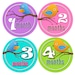 Baby Month Stickers - First Year Belly Stickers - Baby Month Stickers ...