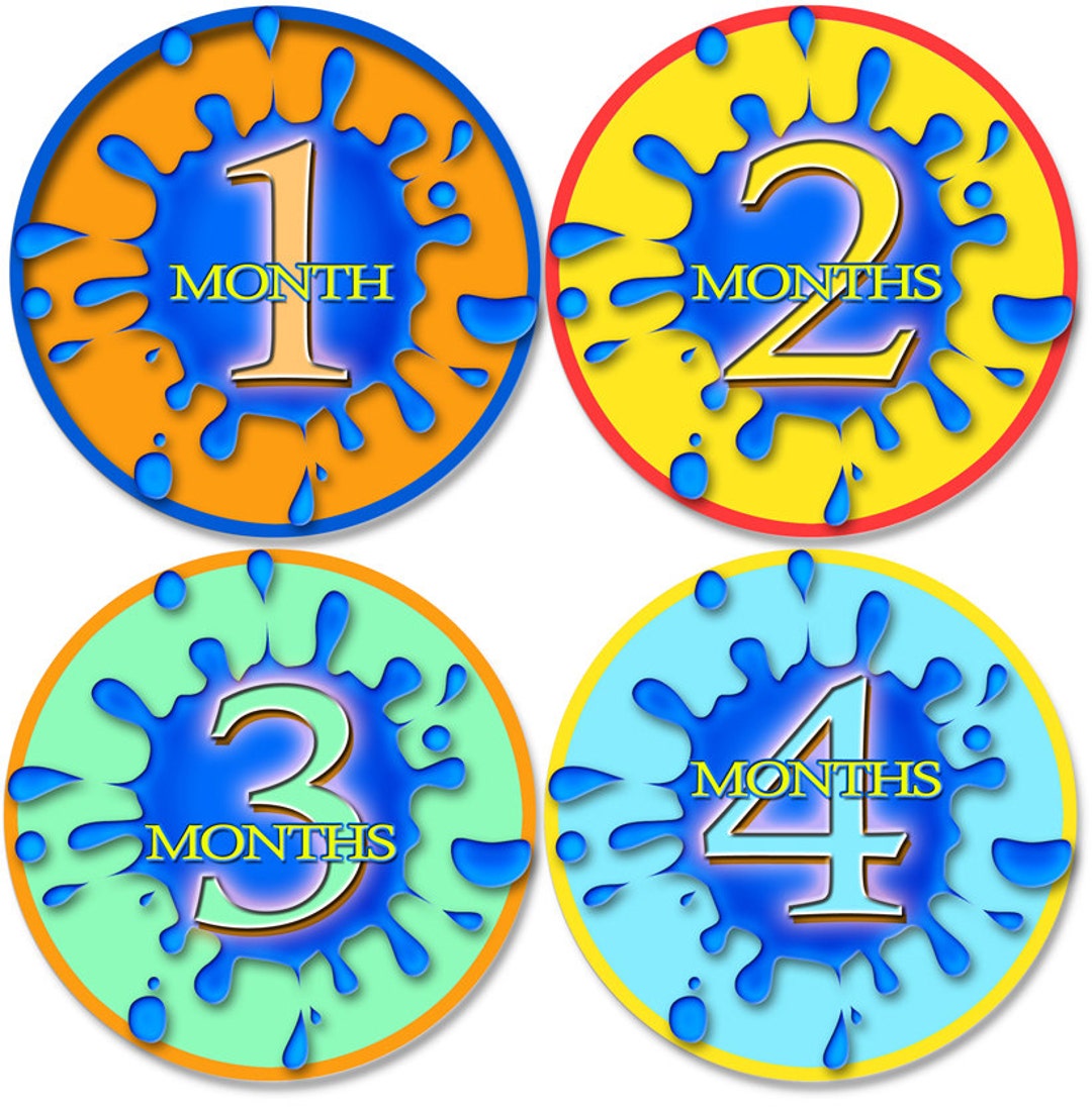 Baby Monthly Stickers 1-12 Months: Bodysuit Romper Photo Prop - Etsy
