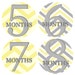 Baby Monthly Stickers 1 to 12 Months Month to Month Baby Stickers ...