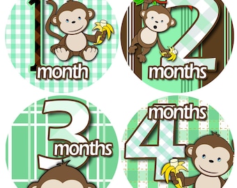 Month to Month Baby Stickers Baby Monthly Stickers 1 to 12 Months ...