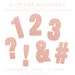 Rose Gold Glitter Alphabet Clip Art: Metallic Letters, Numbers (PNG ...