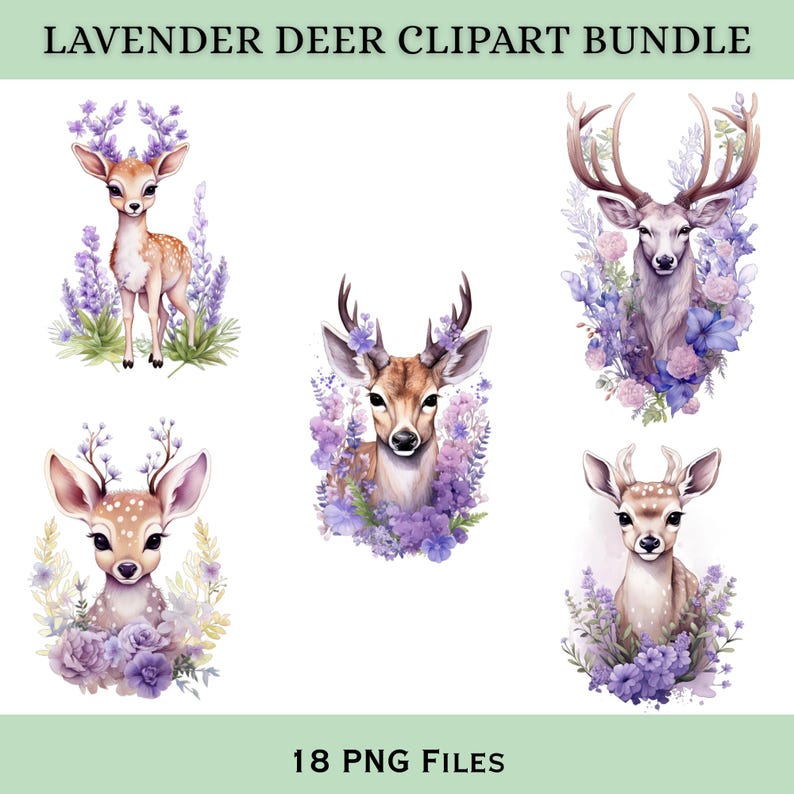 Lavender Deer Clipart Bundle | Watercolor Floral PNG Set (digital ...