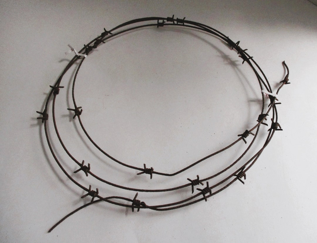 Vintage Barbed Wire 10' Single 4 Prong Strand - Etsy